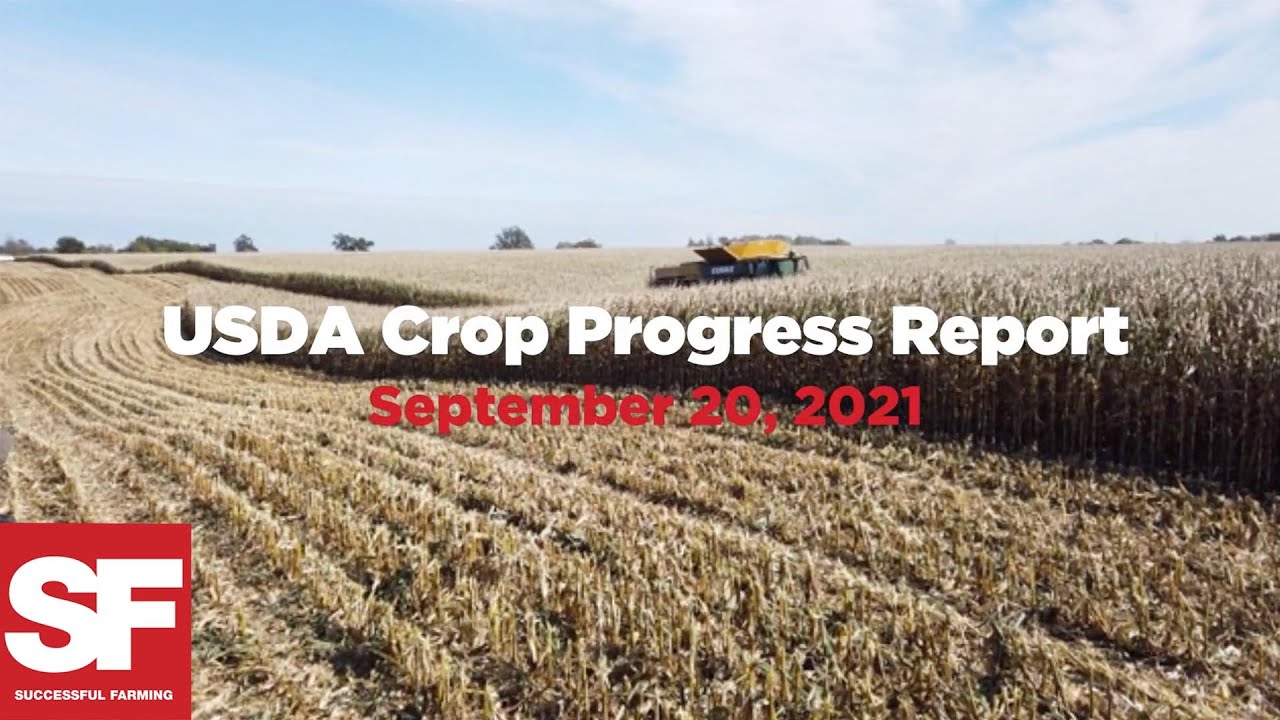 USDA Crop Progress Report | 9/20/21 | Successful Farming #Shorts - YouTube
