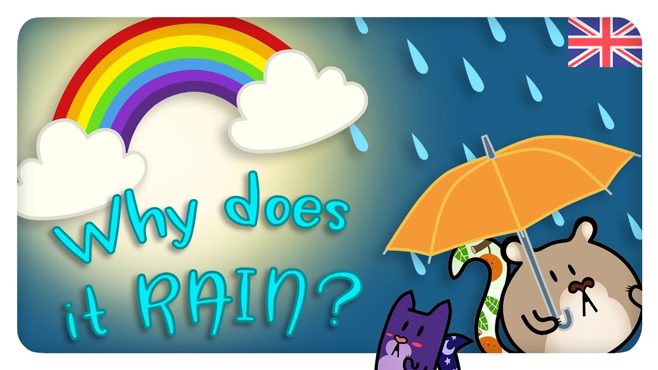 🌧 WATER CYCLE explained💧WHY does it RAIN? ☀️ Rainbow SECRETS 🌈 Gato ...
