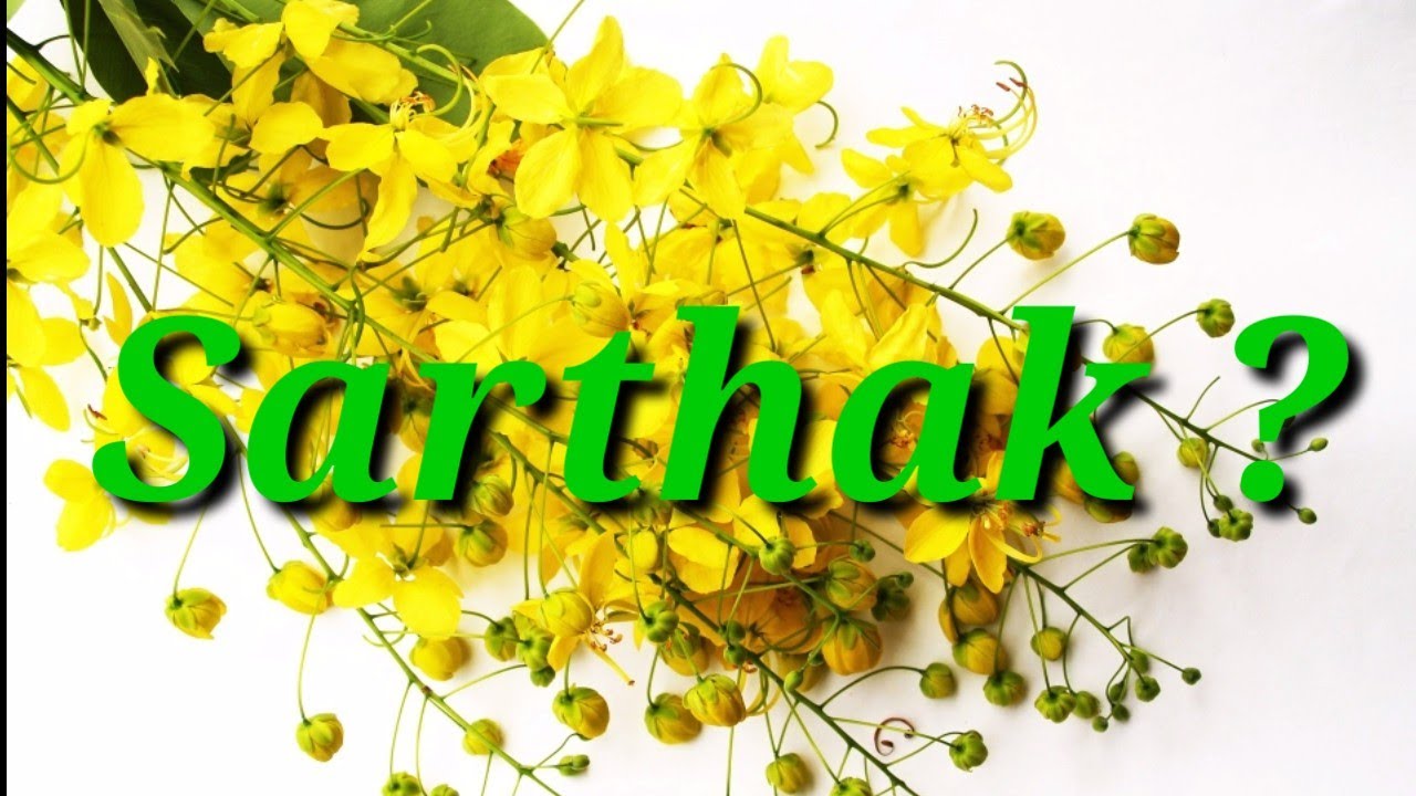 Sarthak Name Status | Sarthak Name Meaning | Sarthak Name WhatsApp ...