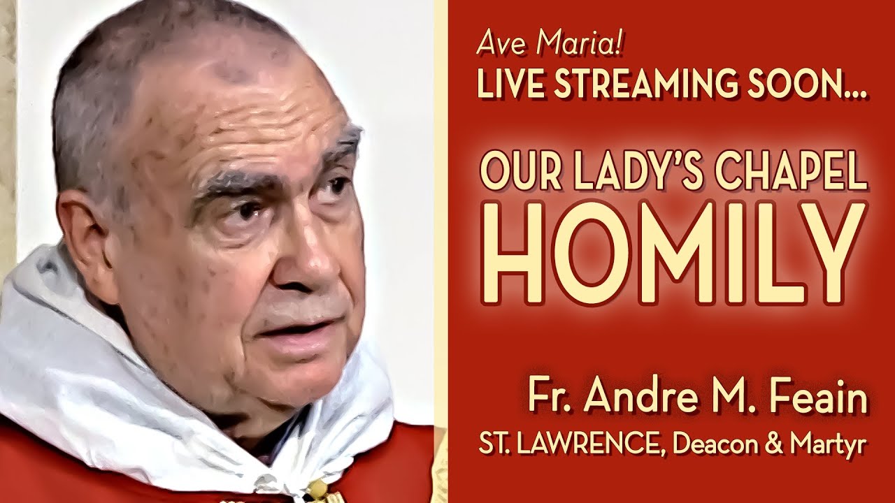 Feast of Saint Lawrence, Deacon and Martyr - Aug 10 - Homily - Fr Andre ...