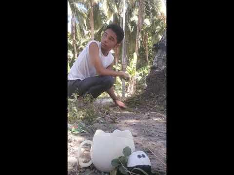 Ian Dave Pitogo/Ram Datulayta NSTP 2/ BABY MOON 🌝 - YouTube