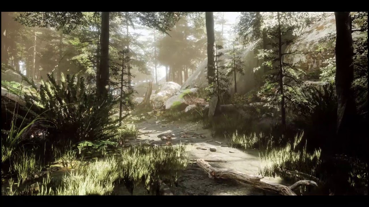 Realistic Forest Scene - YouTube