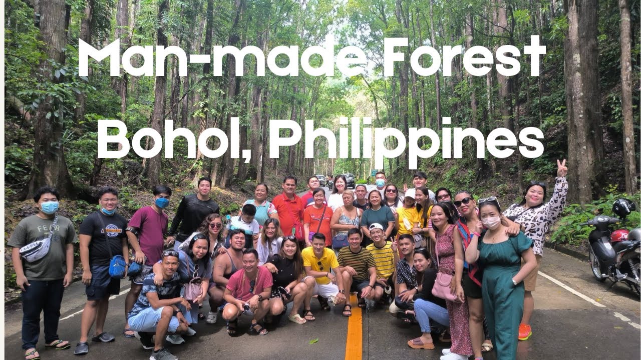 BIYAHENG BOHOL || MAN-MADE FOREST IN BILAR BOHOL, PHILIPPINES ...
