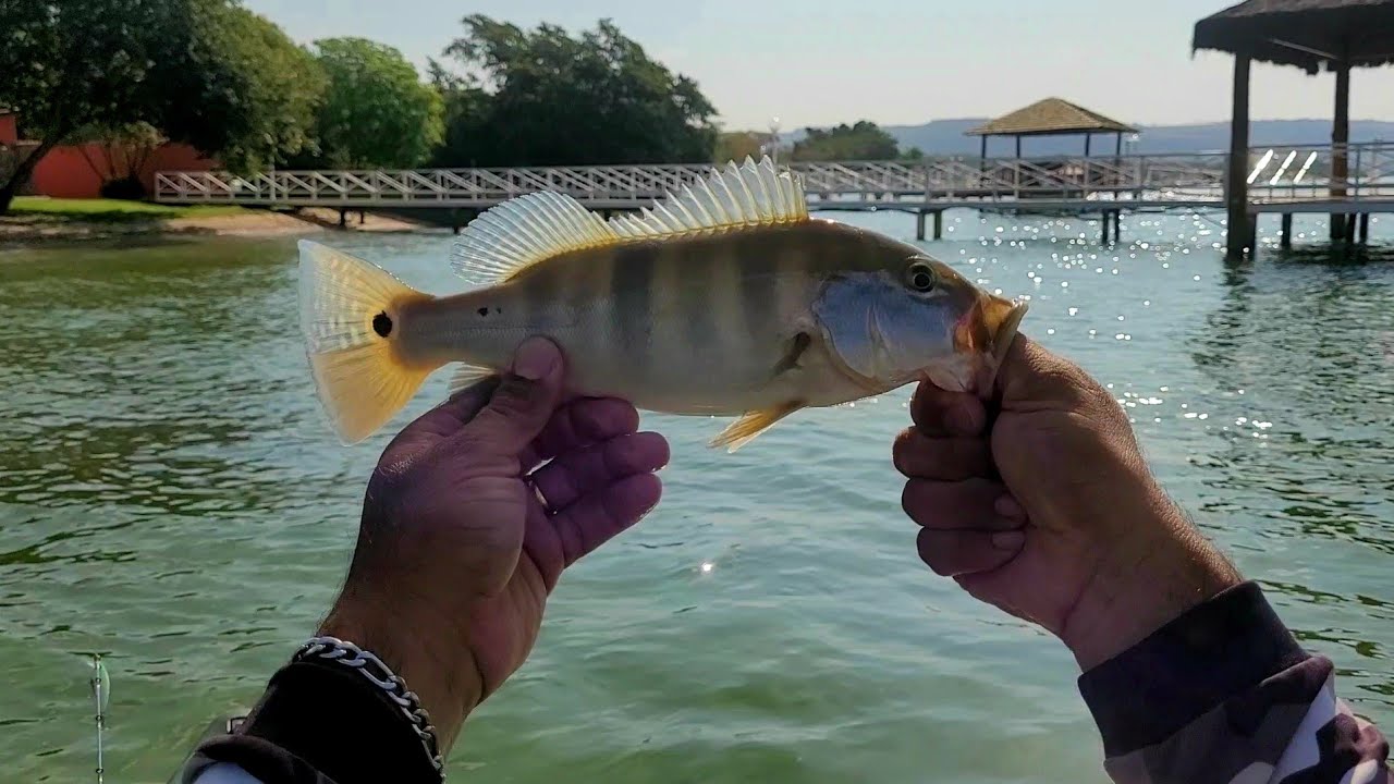 Pescaria,Tem Muito Peixe no Rio Grande , #pescaria #riogrande - YouTube