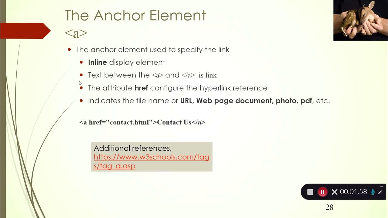 Web Design-Chapter_2-Basics of HTML-Overview - YouTube