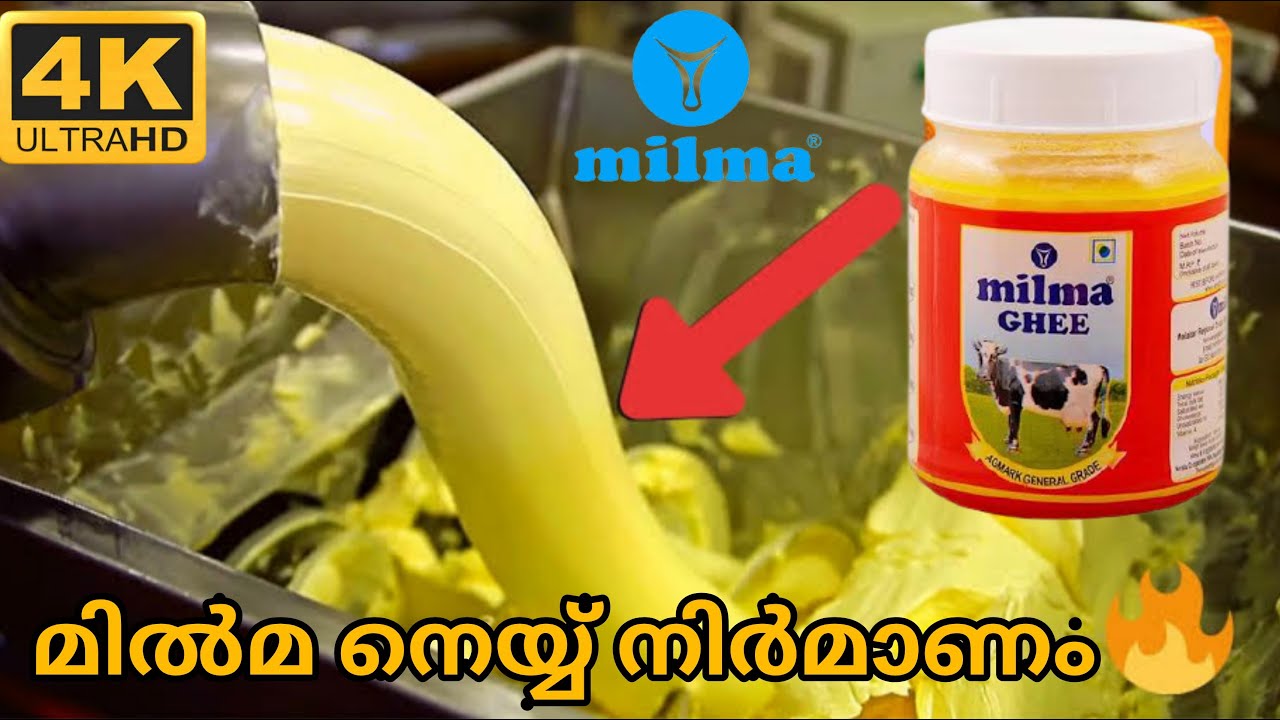 മിൽമ നെയ്യ്, ബട്ടർ എന്നിവ ഫാക്ടറിയിൽ ഉണ്ടാക്കുന്നത് കാണാം | How #Milma ...