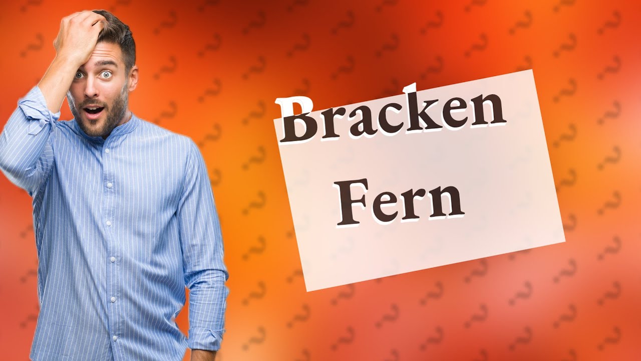 What is Bracken and synonyms? - YouTube