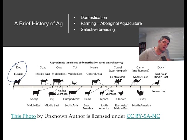 Animal Domestication Timeline Evolution, Consequences And Future Of