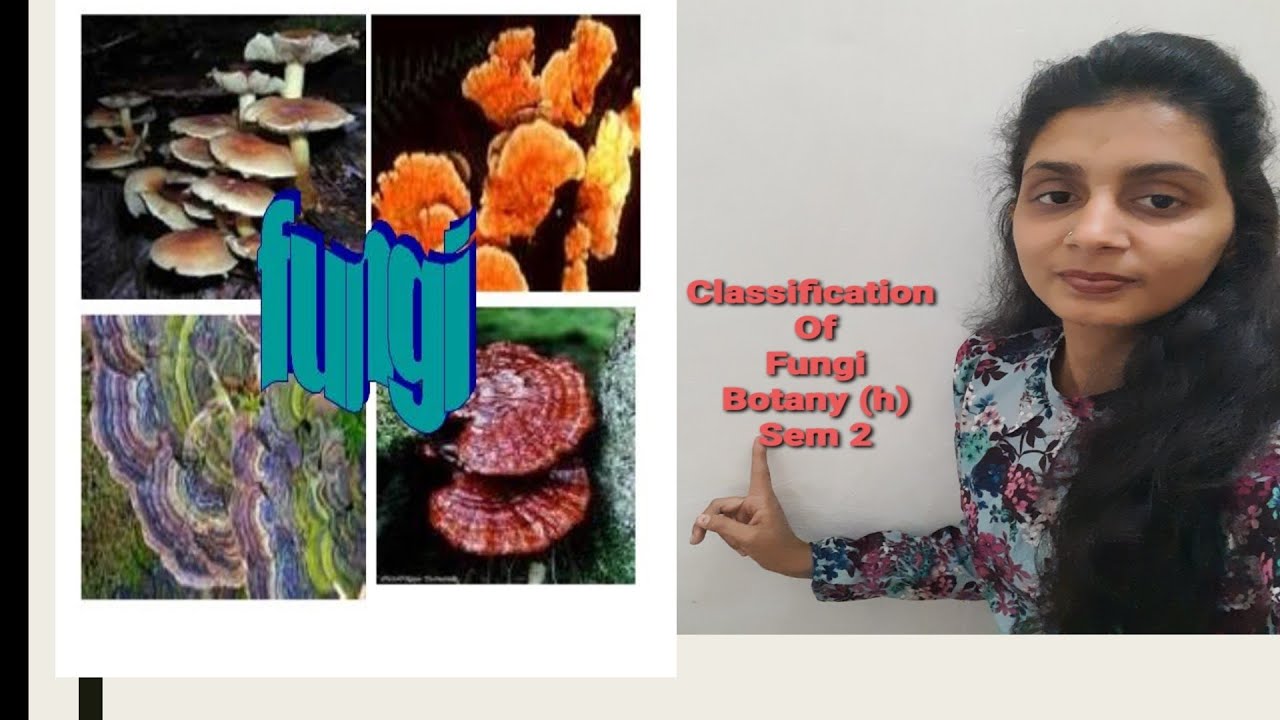 Classification of Fungi -Botany/Life Science Alexopoulos - YouTube