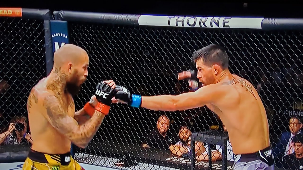 UFC Fight Night Vera vs Cruz Vicious KO! - YouTube