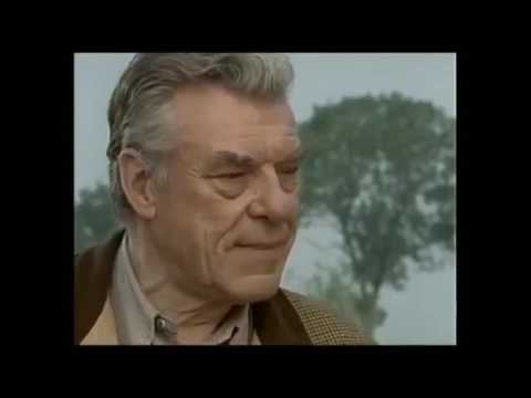 Das Erbe der Guldenburgs Folge 20 Der berühmte Gast