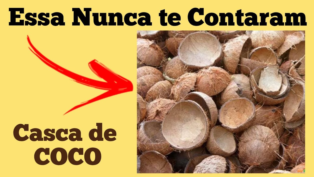 IDEIA INCRÍVEL! RECICLA CASCA DE COCO. DIY DECORAÇÃO FAÇA VOCÊ MESMO ...