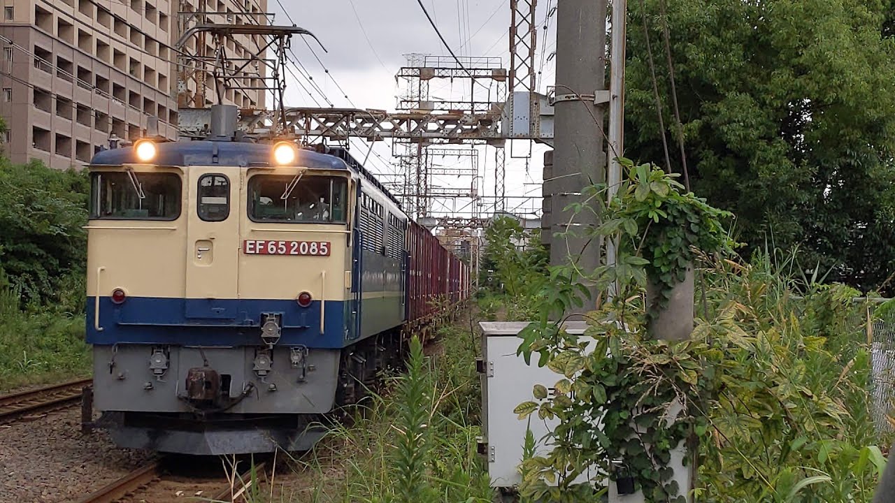 【元更新色】JR貨物 EF65 2085号機+コキ18B 新A65仕業[77レ] 隅田川行 小田栄駅通過！ - YouTube