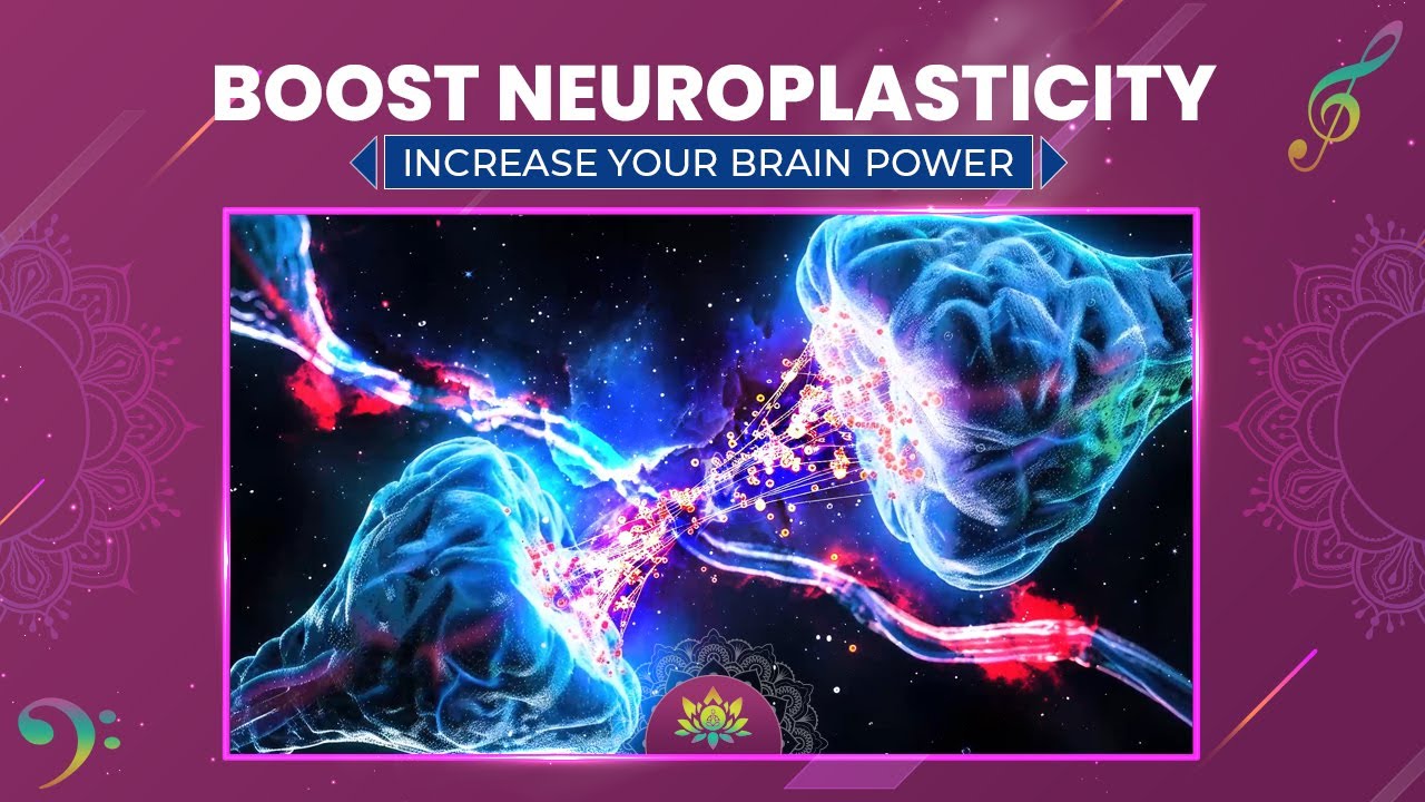 Boost Neurogenesis & Neuroplasticity - Multiply Your Neurons - Increase ...