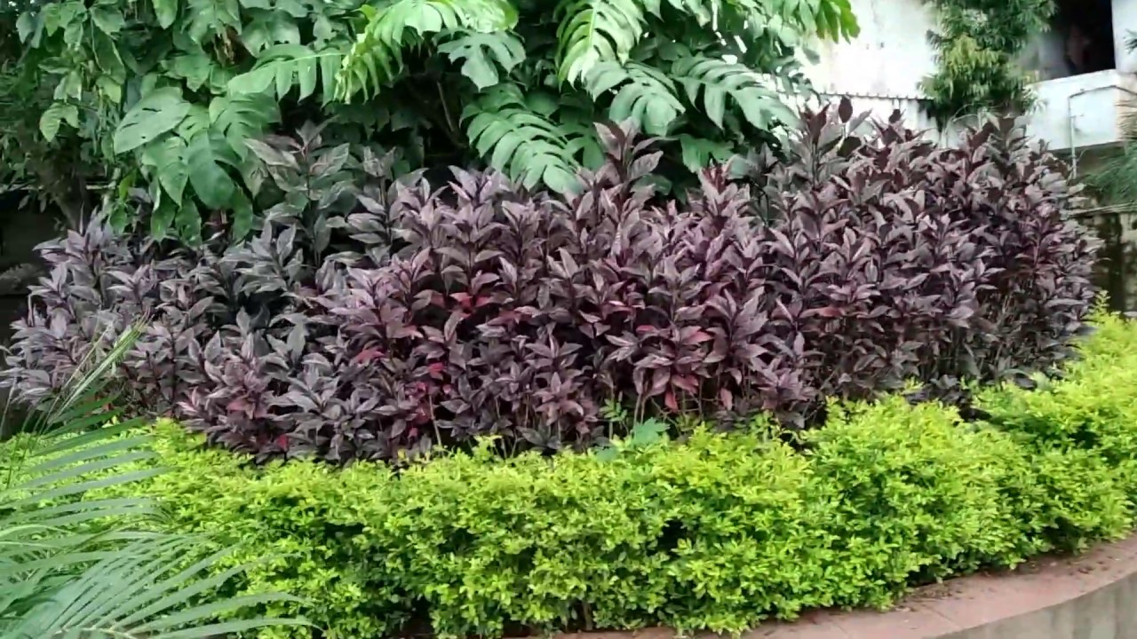 নেতাজী সুভাষ চন্দ্র বসু’র বাড়ী Netaji subhas chandra bose house in ...