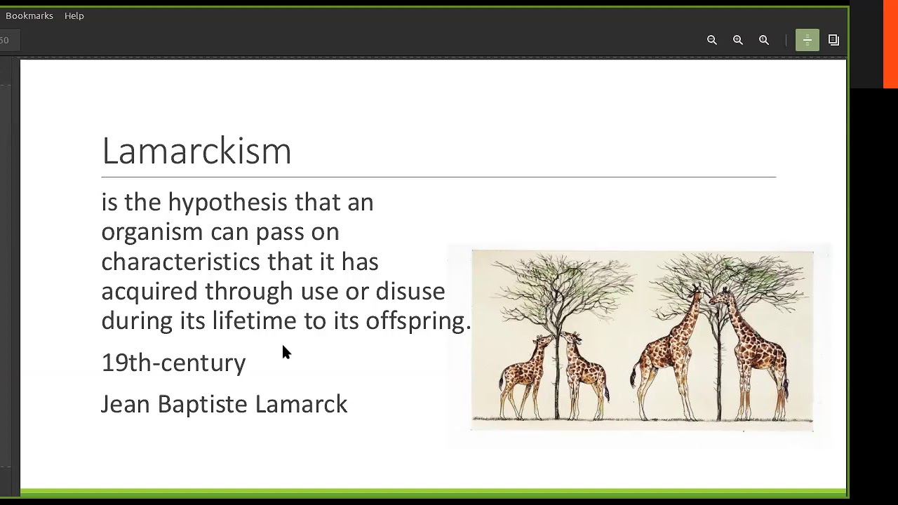 First evolution theories - YouTube