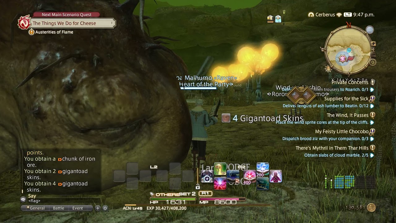 Final Fantasy XIV - Gigantoad Skin farming location - YouTube