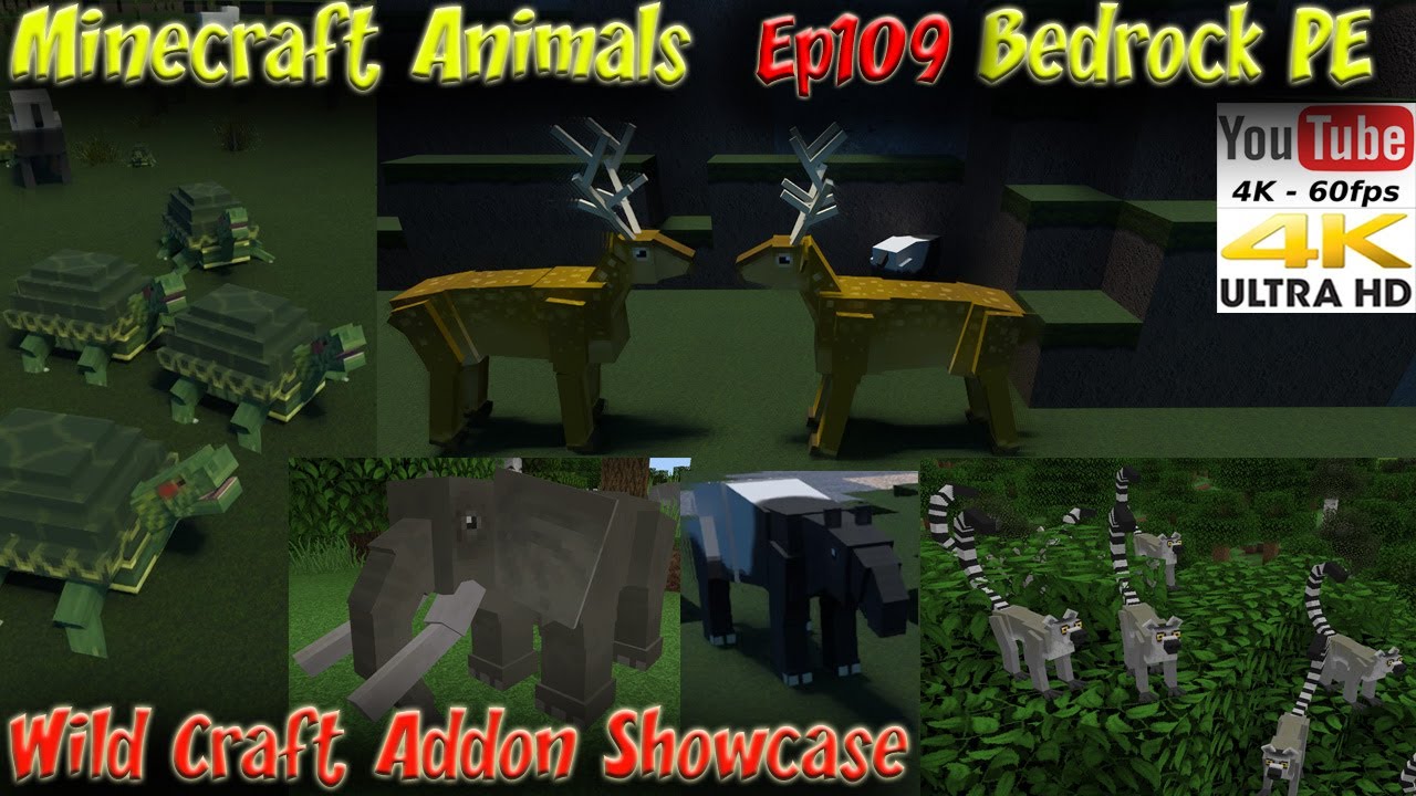 Wild Craft Addon by GOLDENknight YT Showcase Minecraft Bedrock PE Minecraft Animals Ep109 - YouTube