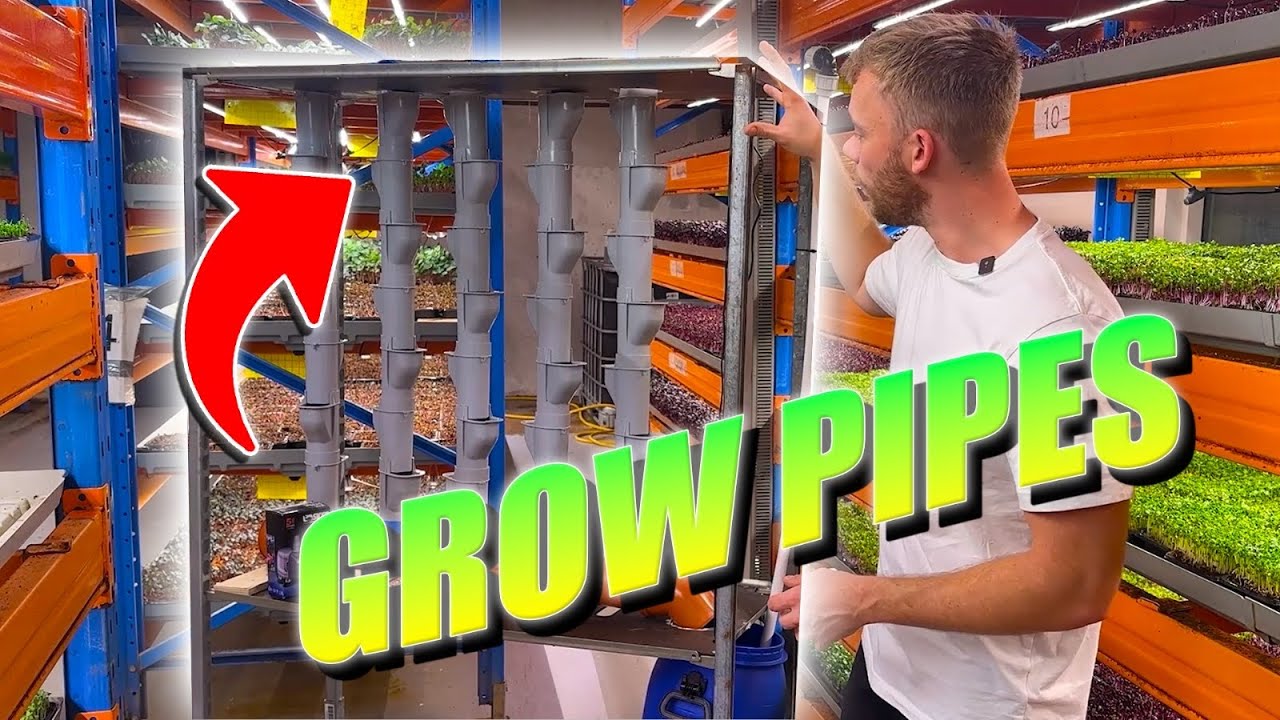 Growpipes | Vertical NFT Farming Setup - YouTube