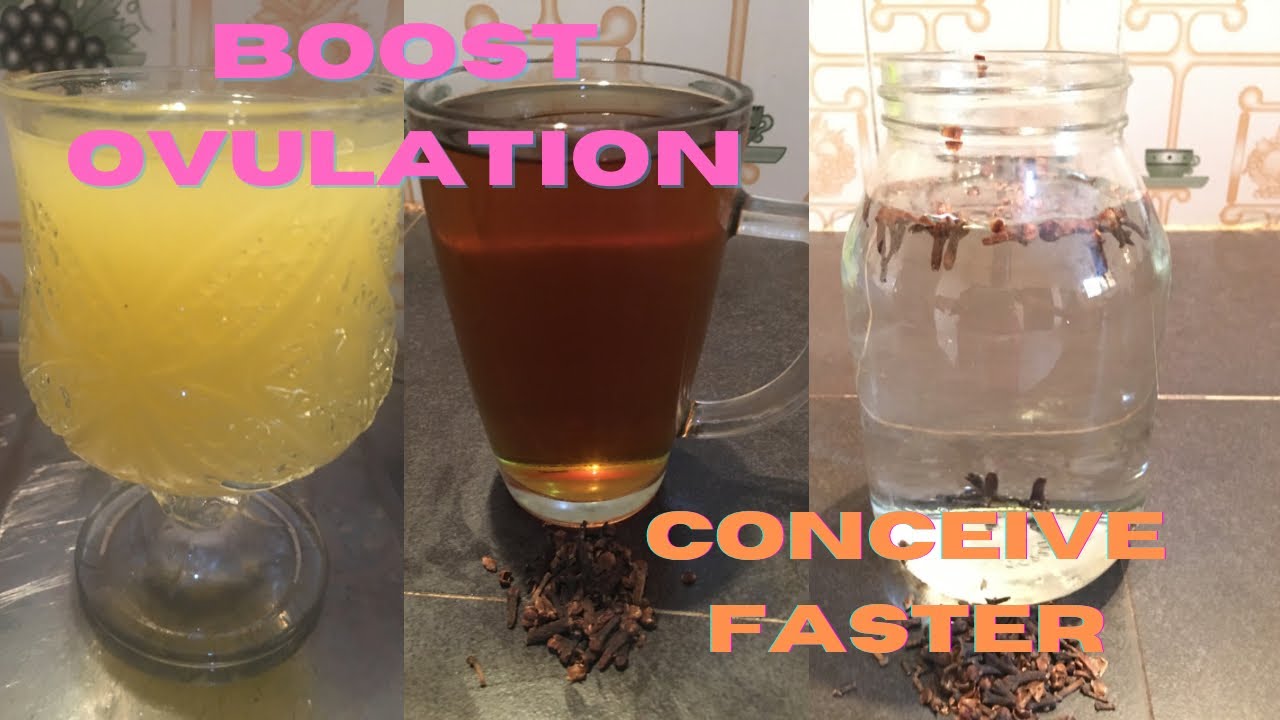 How To Boost Your Ovulation Naturally/Conceive fast/Conceive Twins ...