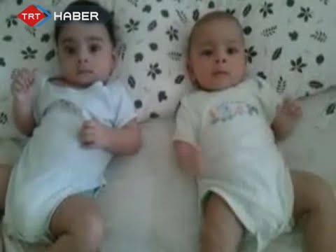 Oyun Havası Oynayan Bebekler mp4