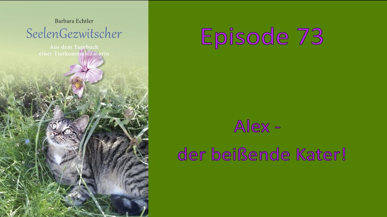 SeelenGezwitscher - Episode 73 - Alex - Ein beißender Kater!! - YouTube
