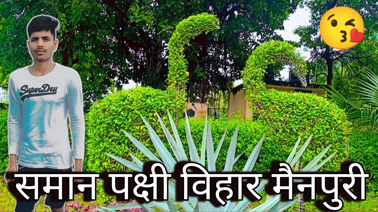 Saman Pakshi Bihar Mainpuri || Saman Pakshi Bihar || Saman Bird ...