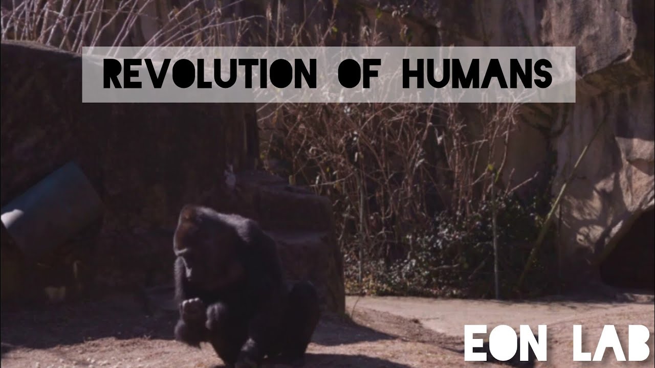 |Revolution of Humans| From Apes to humans| Eon Lab| - YouTube