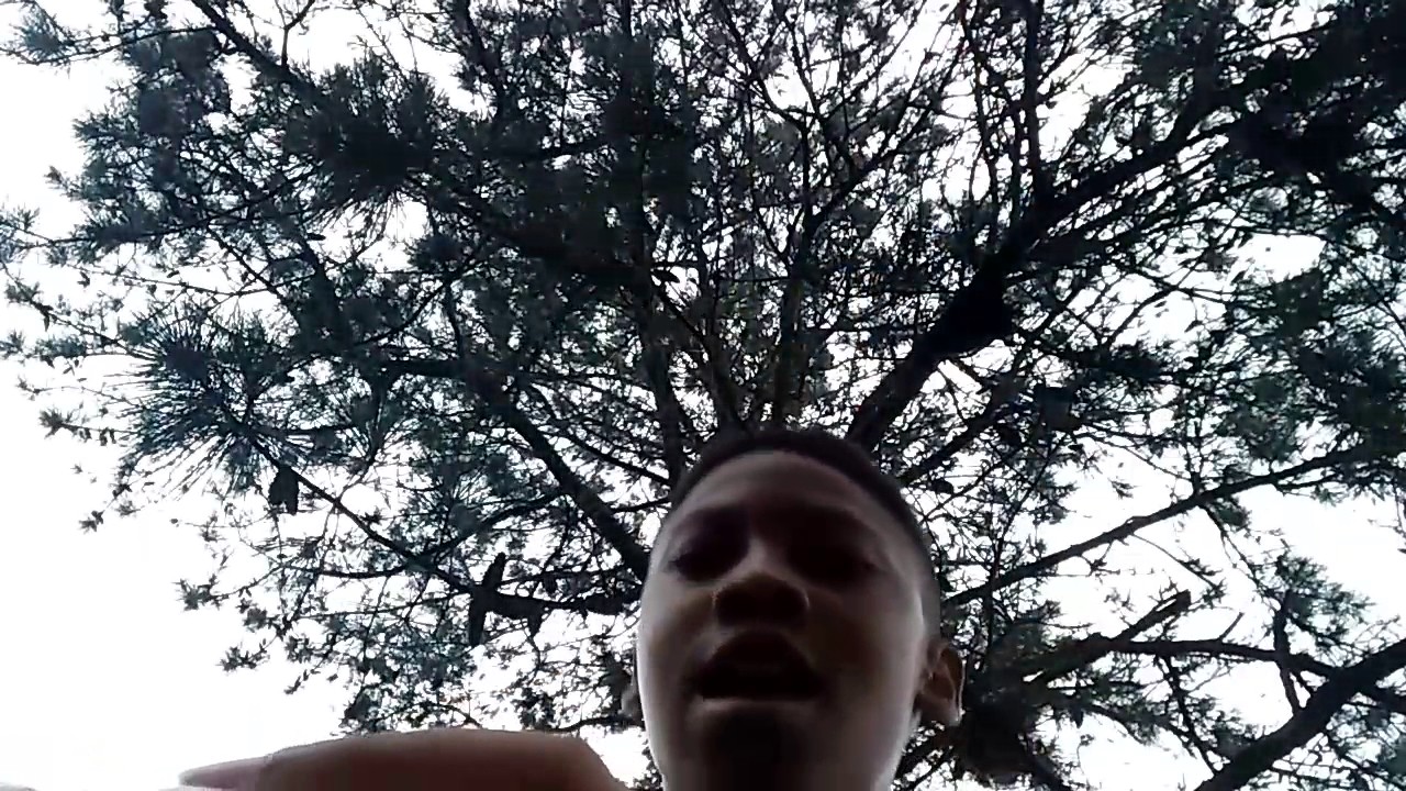 Pear prank - YouTube