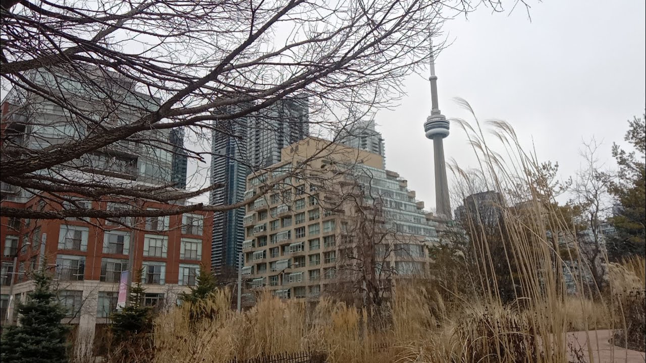 Downtown Toronto Evening walk on the Lakeshore of Lake Ontario, Canada ...