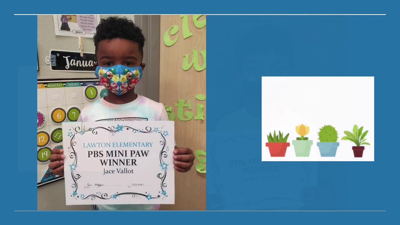 Mini PAWS Winners 1-22-21 - YouTube