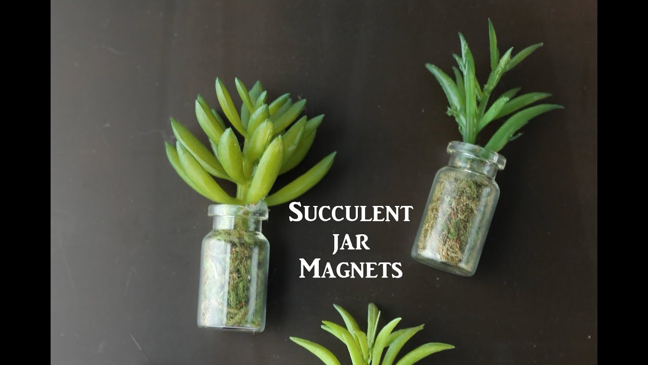 Succulent Jar Magnets - YouTube