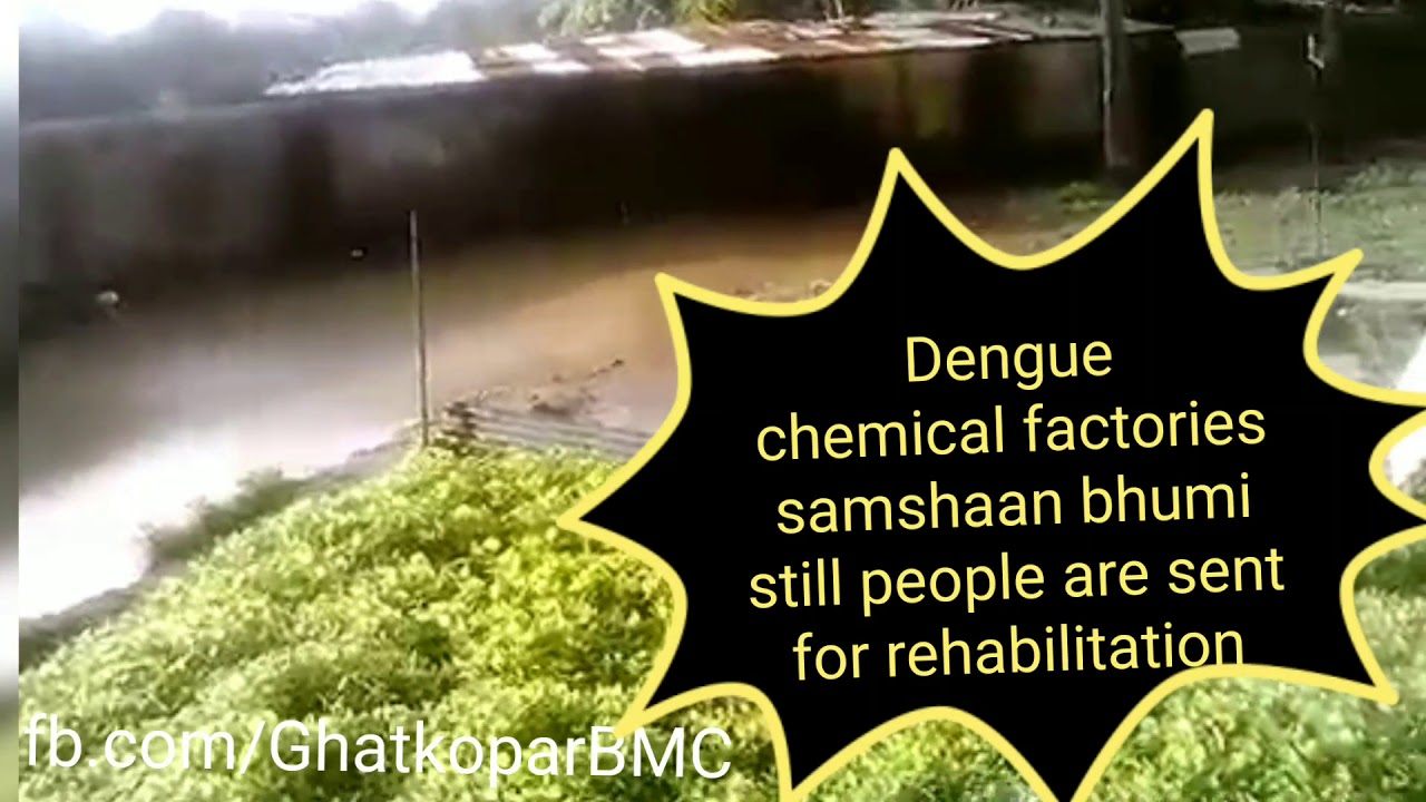 Death Place - Mahul Village ( Dengue, Tons of Mosquito, Chemical, Water ...