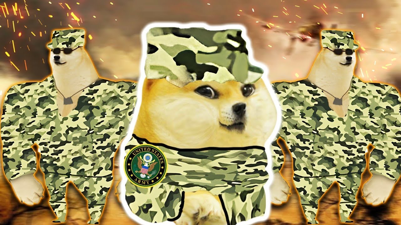 Doge gets drafted into the Army - YouTube