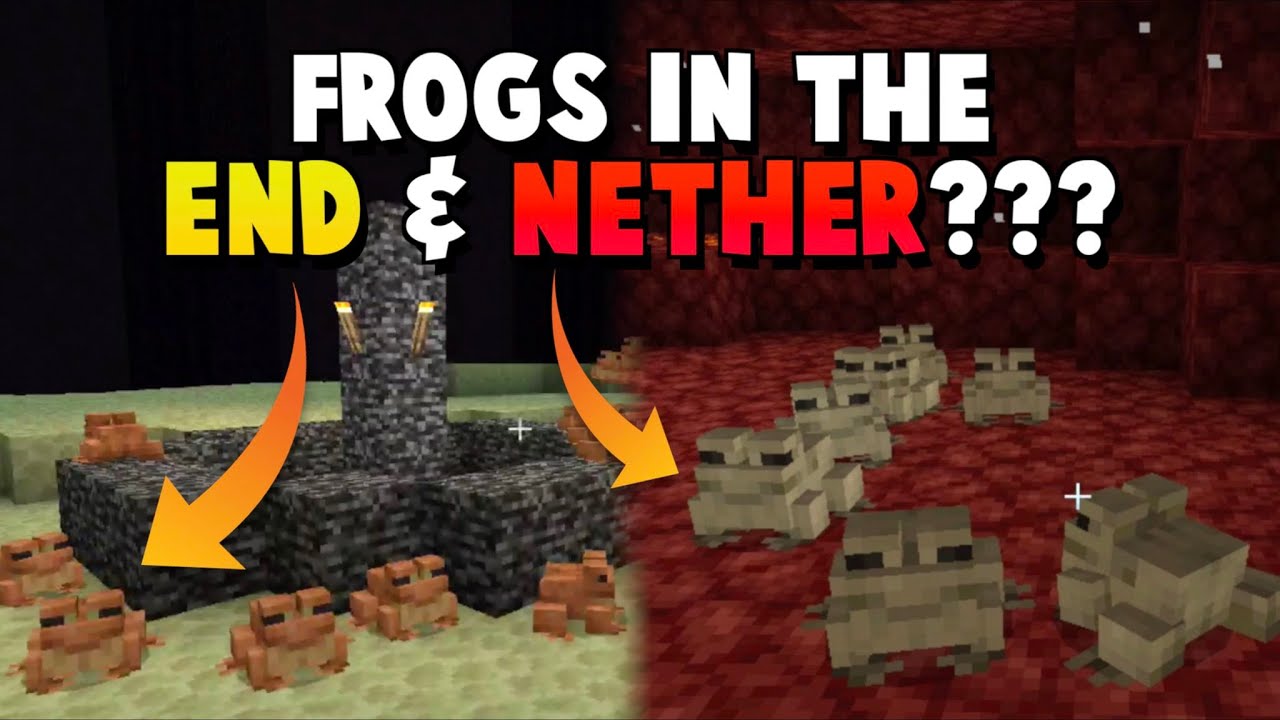 Nether Frogs, End Frogs & Tadpoles + Axolotl = Doom - YouTube