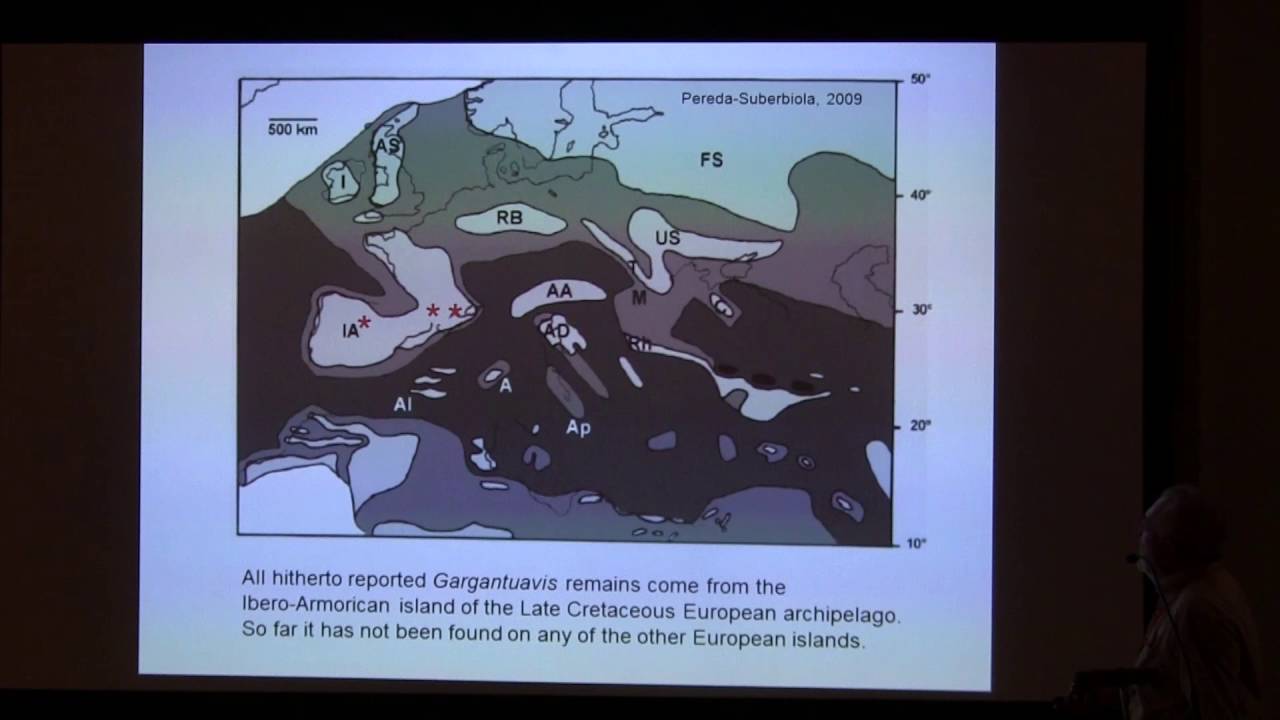 THE GIANT BIRD GARGANTUAVIS: A CASE OF INSULAR EVOLUTION IN LATE ...