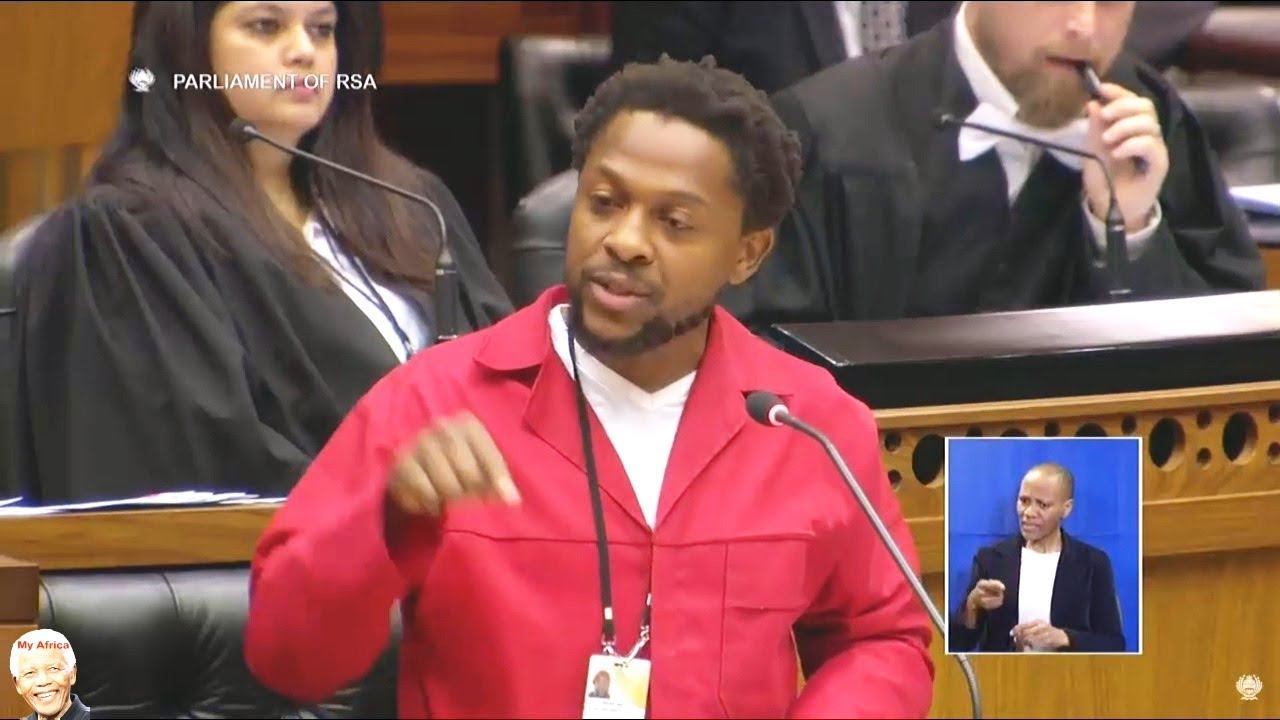 Dr Ndlozi - "ANC Come To Parliament To Sleep" - YouTube