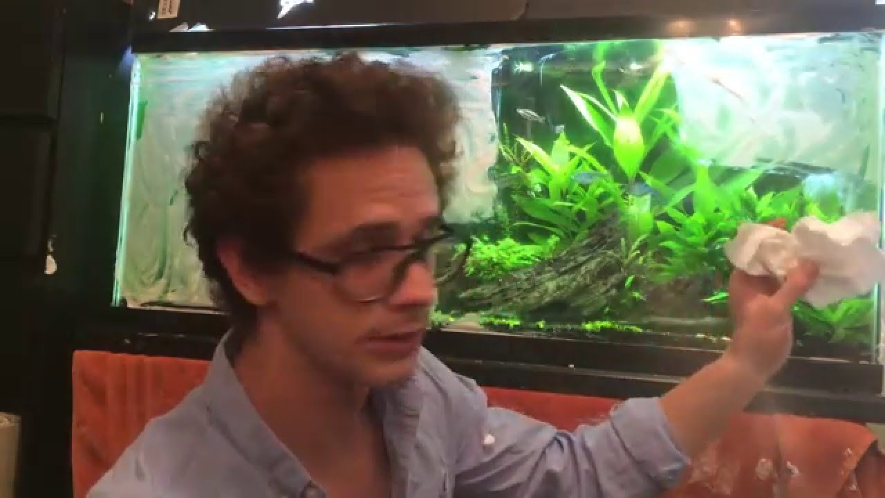 If Bob Ross painted Fish Tanks - YouTube
