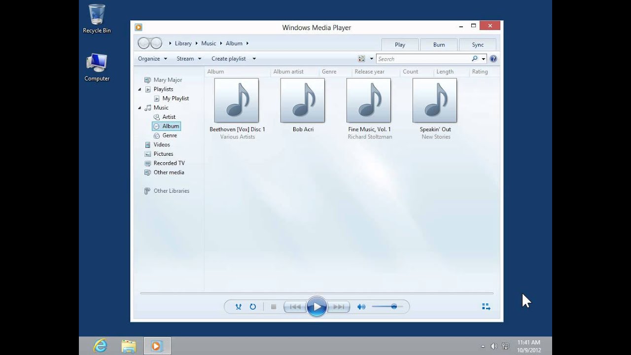 Windows 8.0 Professional - Select an Automatic Resize Option in Windows ...