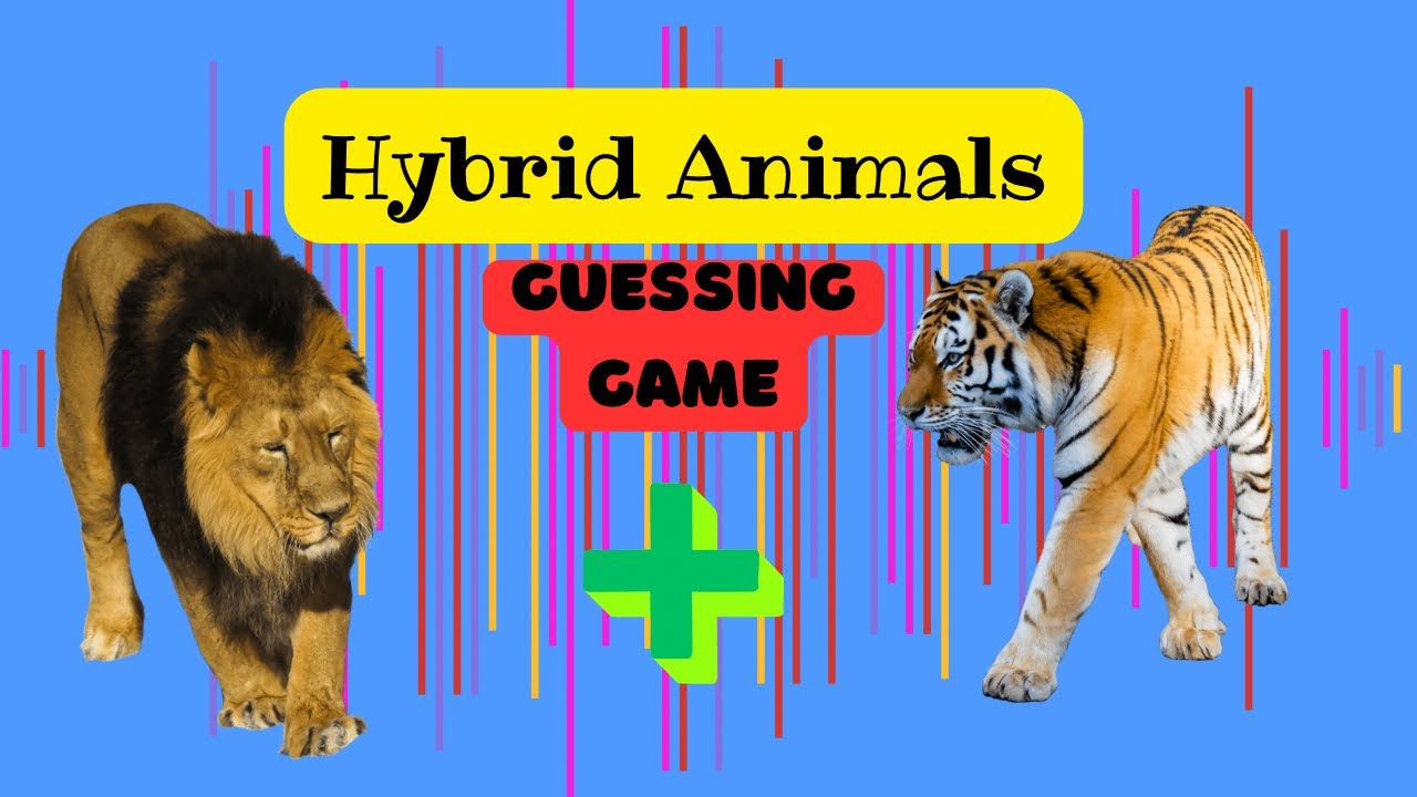 Hybrid Animals… which two animals combine? 10 animals to guess! - YouTube