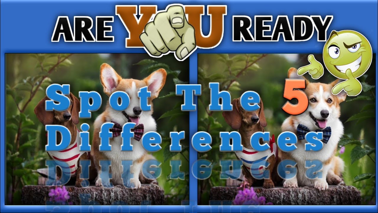 Find & Spot The differences ! Picture puzzle (#12) - YouTube