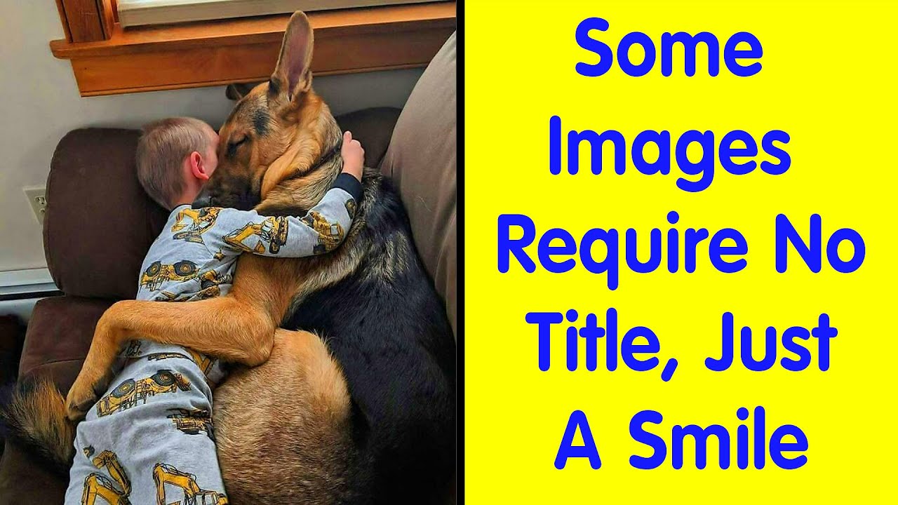 Uplifting Animal Pictures To Help You Get Through The Week - Cute ...