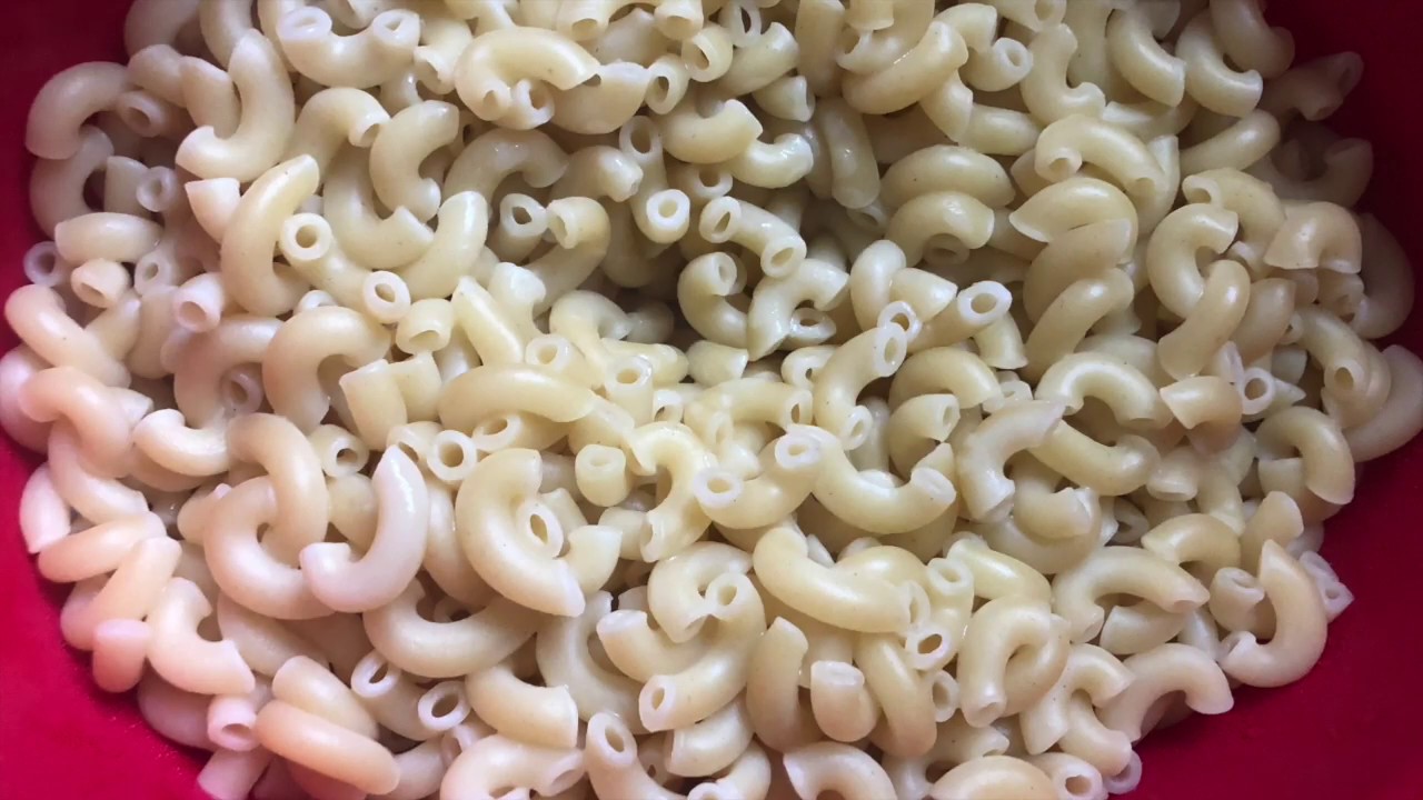 The Vegan Cheeze Episode - YouTube
