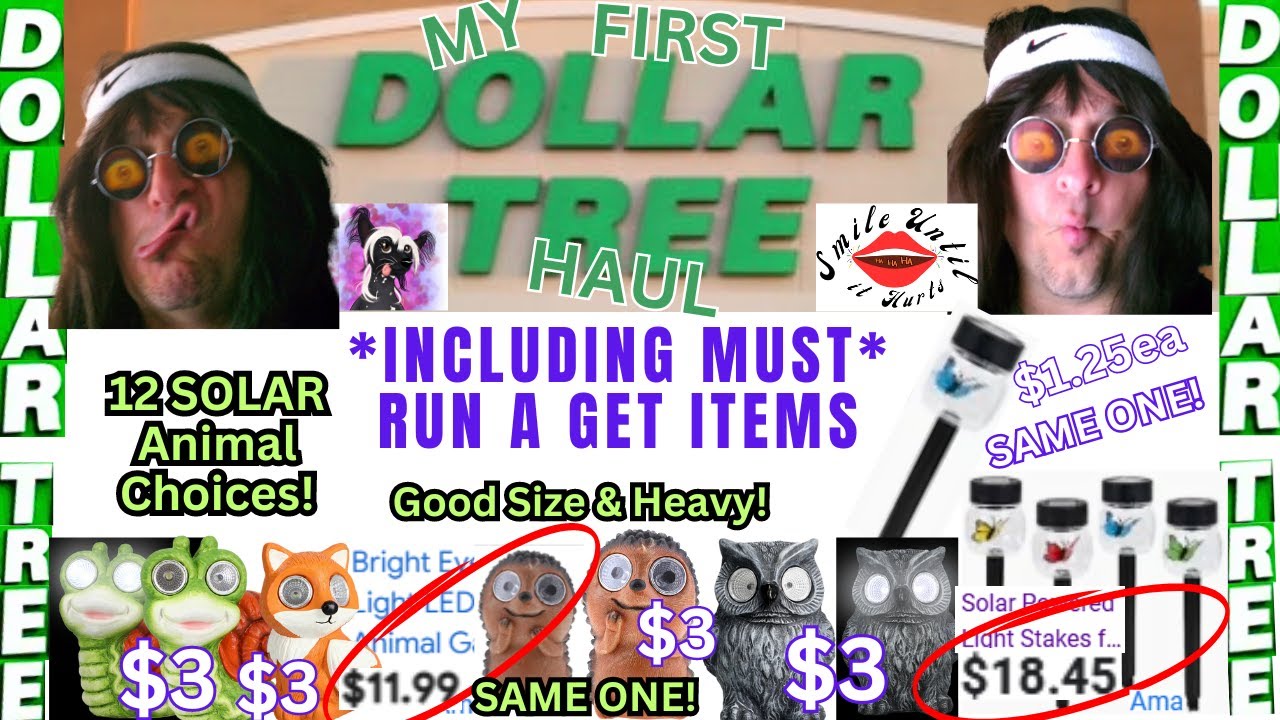 OH ITS CLASSY! MY FIRST DOLLAR TREE HAUL, OUT MY TRUNK - YouTube