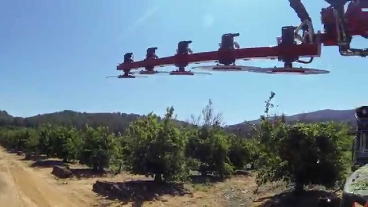 Pre-pruning machines for orhards Mod.PFSV-5 /Pre-podadora de Discos ...