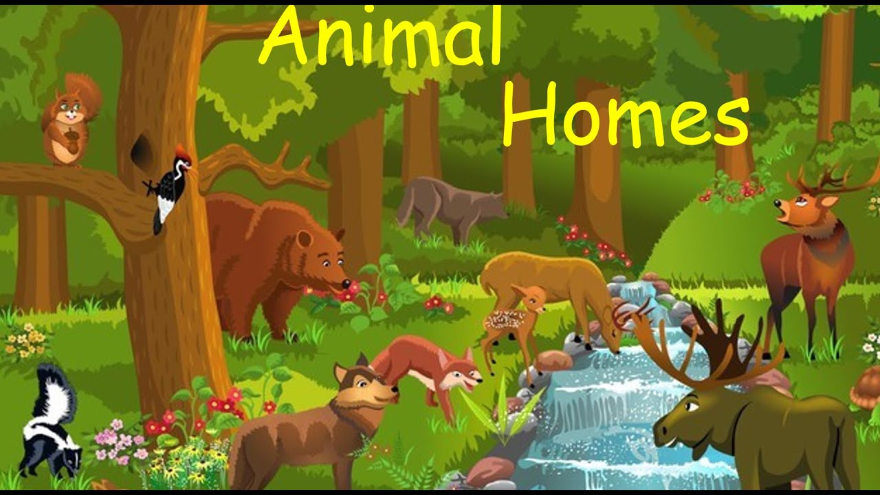 K.3 Science : Animal homes By T. Emily - YouTube