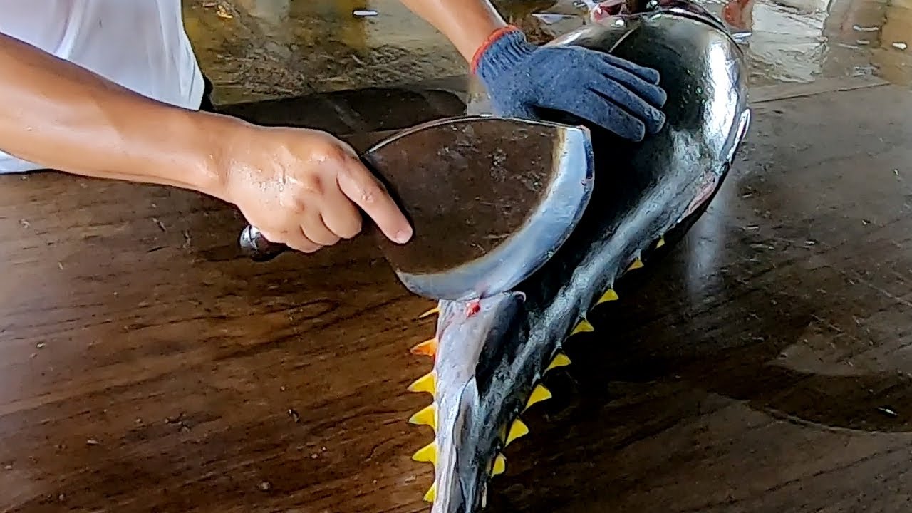 Taiwanese Food - Giant Yellowfin Tuna Cutting - YouTube