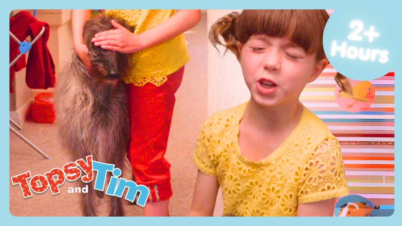 Finders Seekers! 🫣😆 | Topsy & Tim Season 1 Compilation | Fun Shows For ...