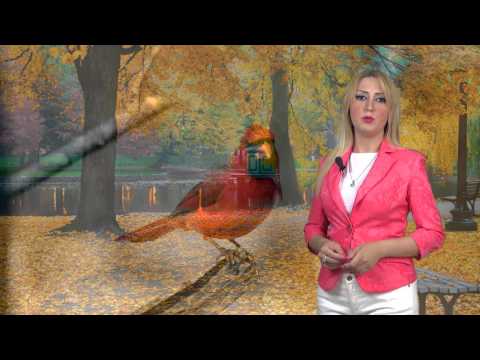 Allahın rəng sənəti (1080p)