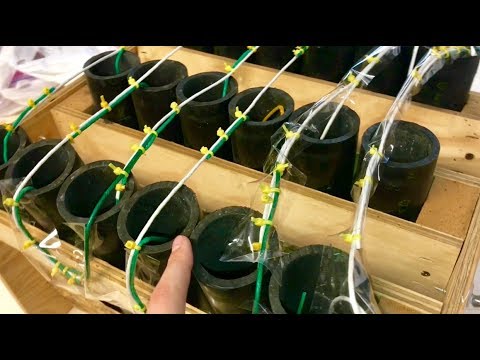 Best Canister Shells - EPIC 18 SHOT COMPARISON - YouTube